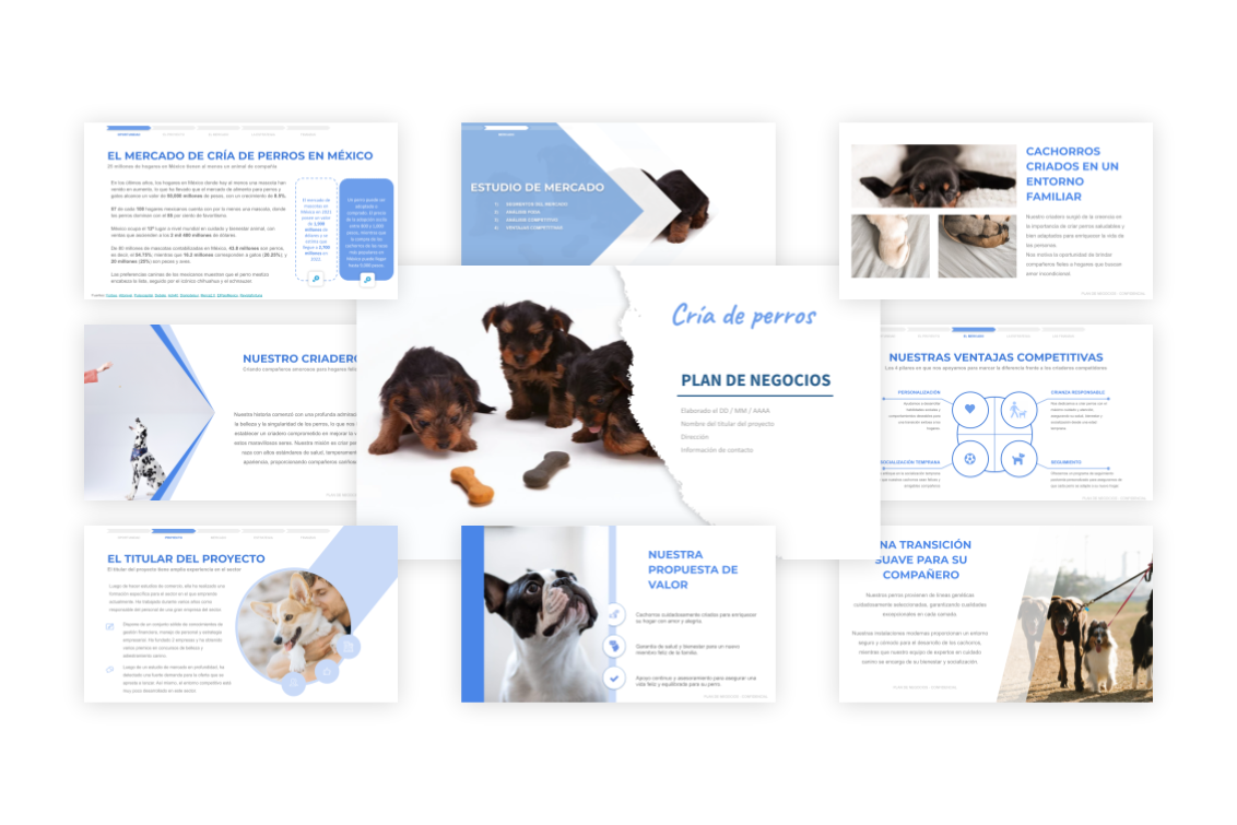 ¿Cómo montar un criadero de perros? – Modelos de plan de negocios